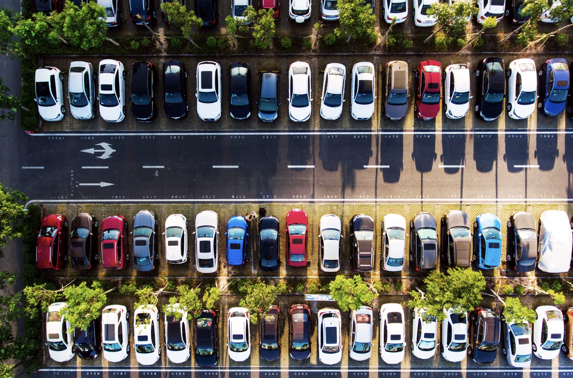 Lohnt sich Werbung auf dem Auto? Autowerbung auf dem PKW